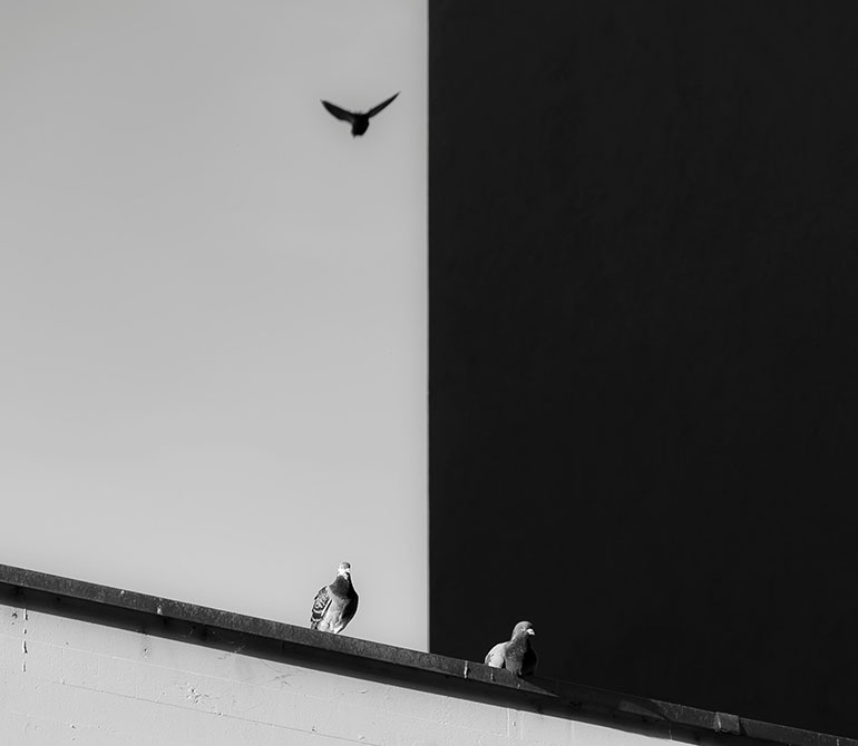 Segregatie Betekenis ᐈ Wat is Segregatie precies?